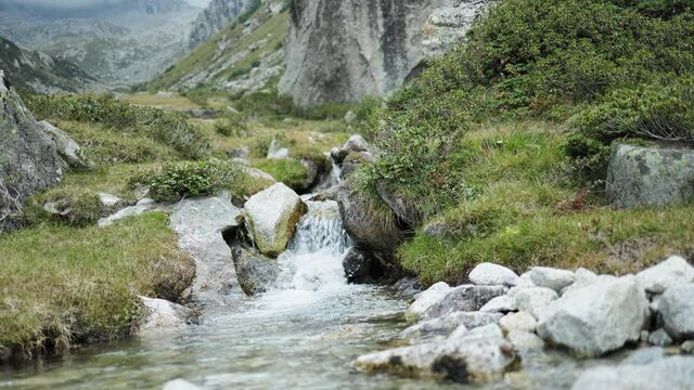 Affluente bilder – Bläddra bland 246 stockfoton, vektorer och videor ...