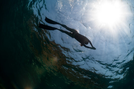 Imágenes de Freediver: descubre bancos de fotos, ilustraciones ...
