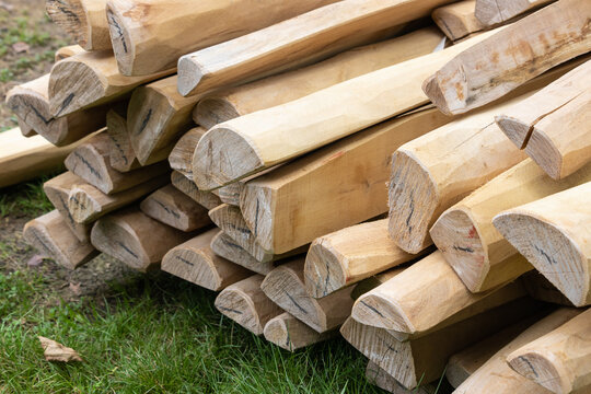 DIE 921,207 BESTEN BILDER, STOCK-FOTOS UND -VEKTORGRAFIKEN ZU ...