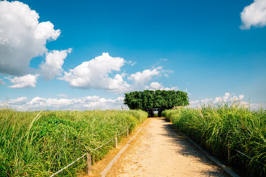 "Mapo District" Bilder – Durchsuchen 244 Archivfotos, Vektorgrafiken ...