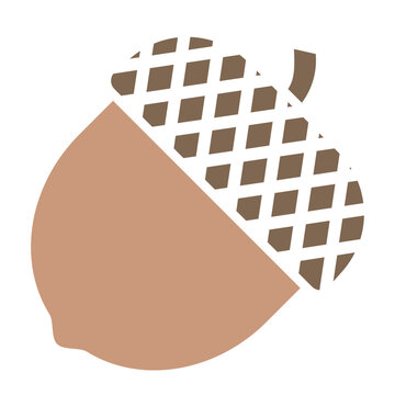 DIE 8,744 BESTEN BILDER, STOCK-FOTOS UND -VEKTORGRAFIKEN ZU „Buchennuss ...