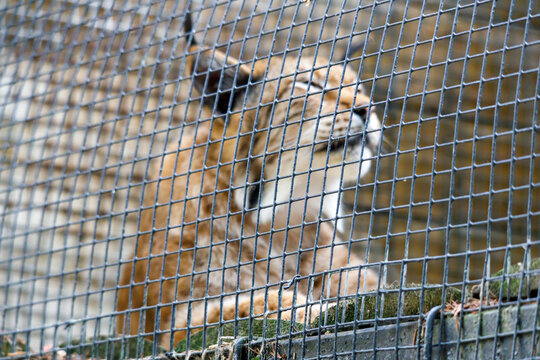 Linx Images – Parcourir 301 le catalogue de photos, vecteurs et vidéos ...