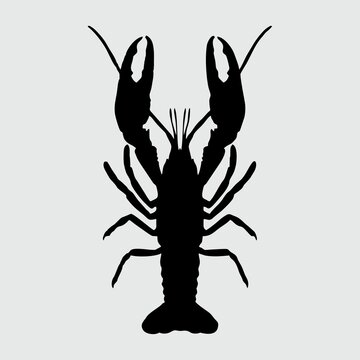 Lobster Icon