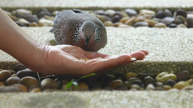 Honesty Images – Browse 82,256 Stock Photos, Vectors, and Video | Adobe ...