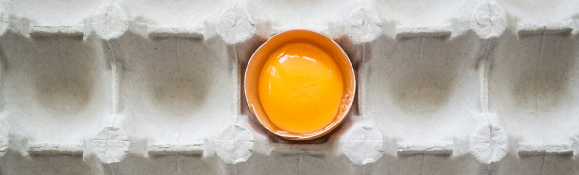 รูปภาพ"Single Egg" – เลือกดูภาพถ่ายสต็อก เวกเตอร์ และวิดีโอ186 | Adobe ...
