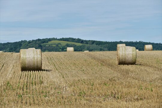 Ansteigend bilder – Bläddra bland 764 stockfoton, vektorer och videor ...