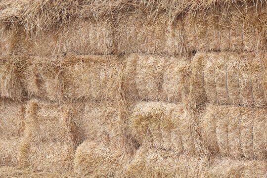 "Hay Background" Images – Browse 296 Stock Photos, Vectors, and Video ...