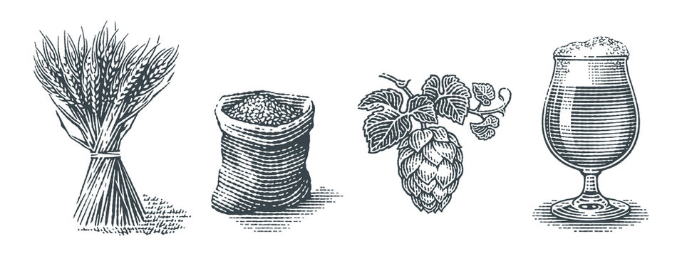 Sheaf Of Barley