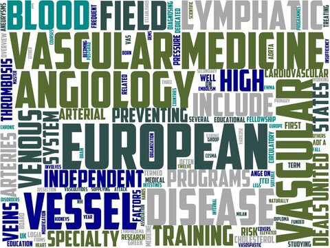Angiology bilder – Bläddra bland 144 stockfoton, vektorer och videor ...