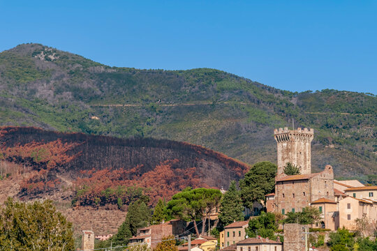 รูปภาพPisano – เลือกดูภาพถ่ายสต็อก เวกเตอร์ และวิดีโอ1,709 | Adobe Stock