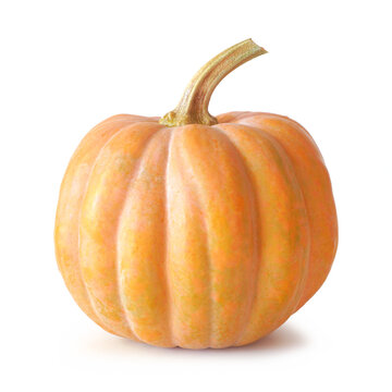 Pumpa bilder – Bläddra bland 1,729,821 stockfoton, vektorer och videor ...