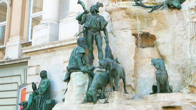 Corvinus Images – Browse 441 Stock Photos, Vectors, and Video | Adobe Stock