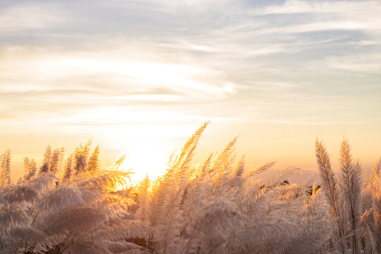 159 件の最適な Kashful 画像、ストック写真、ベクター | Adobe Stock