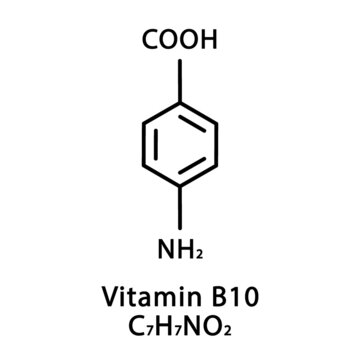 รูปภาพB10 – เลือกดูภาพถ่ายสต็อก เวกเตอร์ และวิดีโอ325 | Adobe Stock