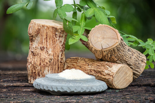 Thanaka Images – Browse 698 Stock Photos, Vectors, and Video | Adobe Stock