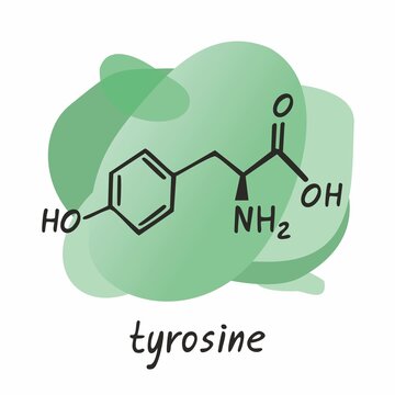 รูปภาพTyrosine – เลือกดูภาพถ่ายสต็อก เวกเตอร์ และวิดีโอ2,099 | Adobe Stock