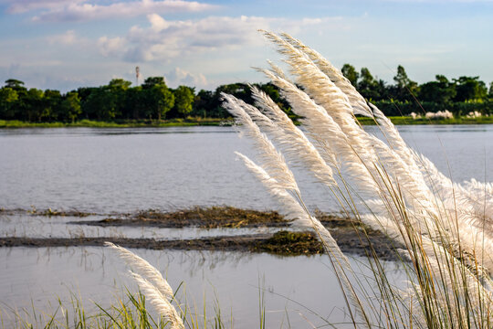 Kashful Images – Browse 279 Stock Photos, Vectors, and Video | Adobe Stock