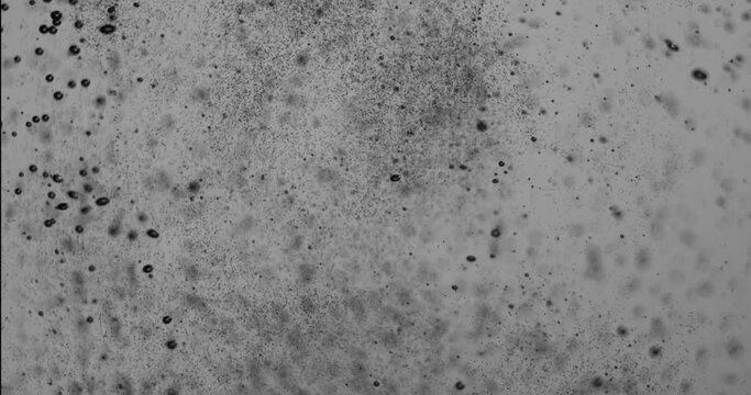 "Falling Particles" Images – Browse 95 Stock Photos, Vectors, and Video ...