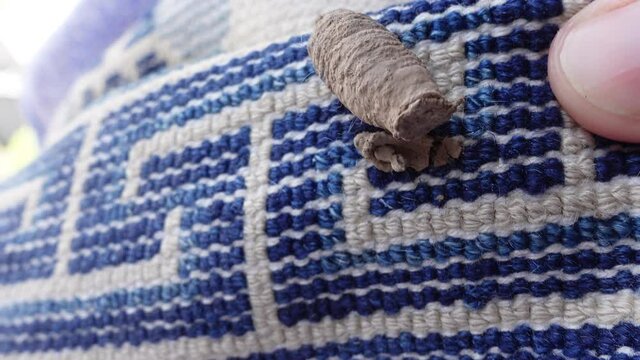 "Dirt Diver" Images – Browse 680 Stock Photos, Vectors, and Video ...