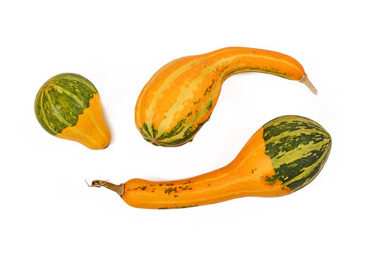 Neueneck Bilder – Durchsuchen 197 Archivfotos, Vektorgrafiken und ...