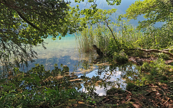 「Naturparadies」の写真素材 | 1,326件の無料イラスト画像 | Adobe Stock