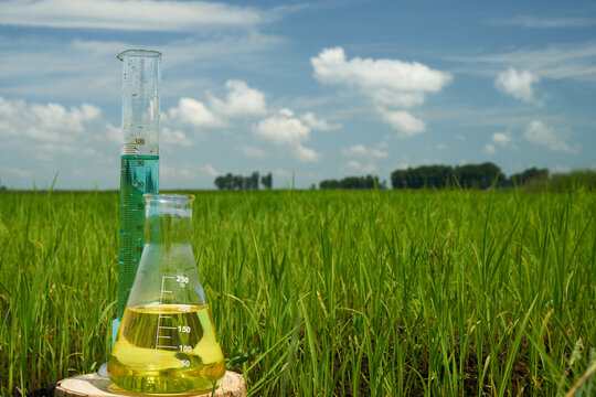 Agrochemistry Bilder – Durchsuchen 980 Archivfotos, Vektorgrafiken und ...