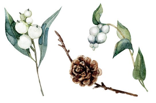 Imágenes de Ghostberry: descubre bancos de fotos, ilustraciones ...