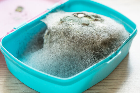 Imagens de Lanchbox – Explore Fotografias do Stock, Vetores e Vídeos de ...