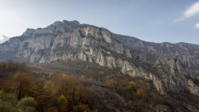 Jerma Images – Browse 165 Stock Photos, Vectors, and Video | Adobe Stock