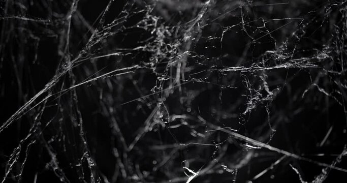 Mess Images – Browse 5,346,810 Stock Photos, Vectors, and Video | Adobe ...