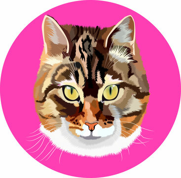 Caty Images – Browse 86 Stock Photos, Vectors, and Video | Adobe Stock