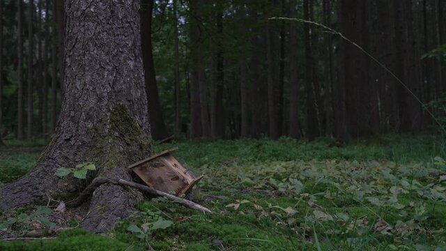 Ambiance Images – Browse 214,328 Stock Photos, Vectors, and Video ...