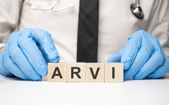 Arvi Images – Browse 881 Stock Photos, Vectors, and Video | Adobe Stock