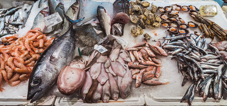 Owoce Morza Images – Browse 1,888 Stock Photos, Vectors, and Video | Adobe Stock