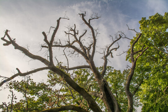 Maroder Bilder – Durchsuchen 240 Archivfotos, Vektorgrafiken und Videos ...