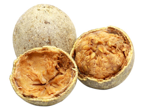 「Wood-Apple」の写真素材 | 345件の無料イラスト画像 | Adobe Stock