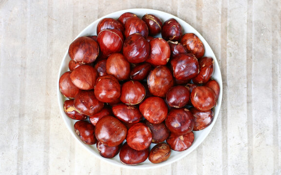 รูปภาพJengkol – เลือกดูภาพถ่ายสต็อก เวกเตอร์ และวิดีโอ252 | Adobe Stock