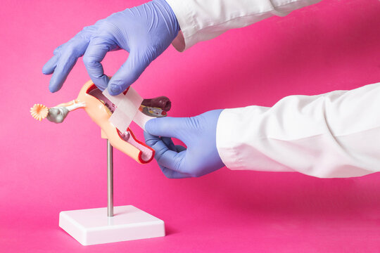 Lubrikation bilder – Bläddra bland 992 stockfoton, vektorer och videor ...