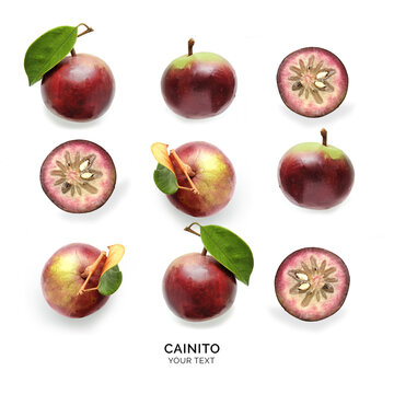 Caimito Bilder – Durchsuchen 326 Archivfotos, Vektorgrafiken und Videos ...