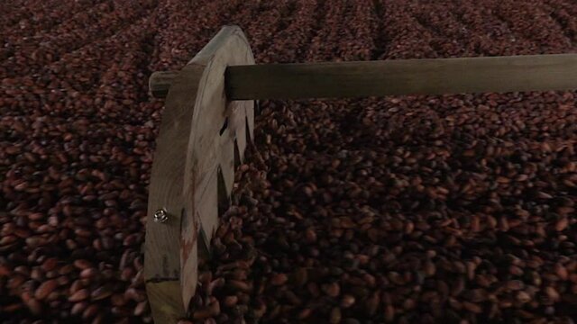 Criollo Images – Browse 4,139 Stock Photos, Vectors, and Video | Adobe ...