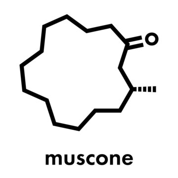 「Muscon」の写真素材 | 15件の無料イラスト画像 | Adobe Stock