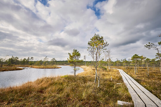"Raised Bog" Bilder – Durchsuchen 1,617 Archivfotos, Vektorgrafiken und ...