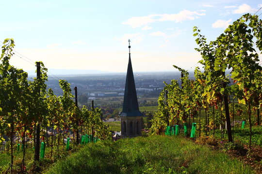 รูปภาพ"Lower Austria" – เลือกดูภาพถ่ายสต็อก เวกเตอร์ และวิดีโอ9,331 ...