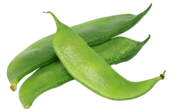 รูปภาพBataw – เลือกดูภาพถ่ายสต็อก เวกเตอร์ และวิดีโอ1,740 | Adobe Stock