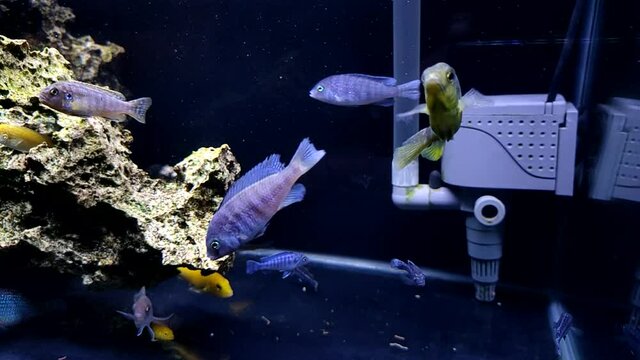 Imagens de Reefscape – Explore Fotografias do Stock, Vetores e Vídeos ...