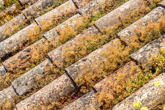 Weatherproof Images – Parcourir 4,848 le catalogue de photos, vecteurs ...