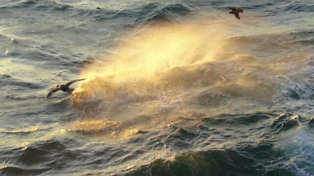 รูปภาพBeringed – เลือกดูภาพถ่ายสต็อก เวกเตอร์ และวิดีโอ1,916 | Adobe Stock