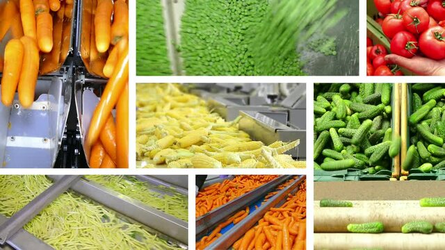 "Food Processing Plant" Images – Browse 5,079 Stock Photos, Vectors ...