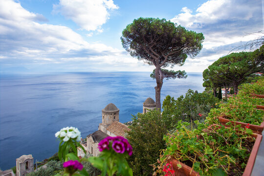 Imágenes de Pinia: descubre bancos de fotos, ilustraciones, vectores y ...
