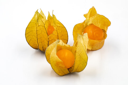 「Rodzynek」の写真素材 | 151件の無料イラスト画像 | Adobe Stock